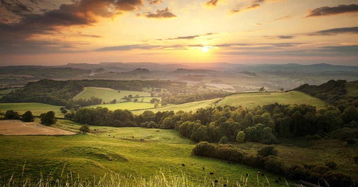 Best Schools In Guelph